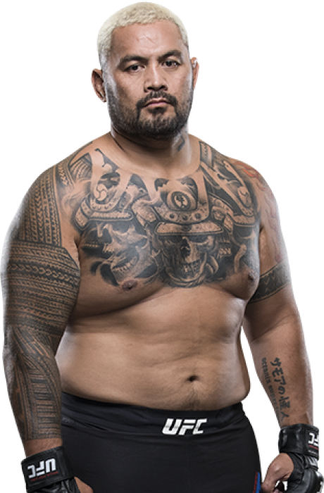 Mark Hunt Fighter Profile | UFC Stats & Analysis | Agent MMA